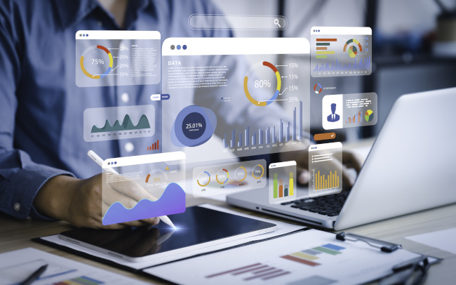 What is a Technology Business Review? | Piedmont Technical Experts
